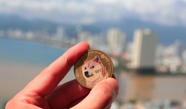 Dog-themed meme coins Dogecoin, Shiba Inu and Dogwifhat extend gains as ...
